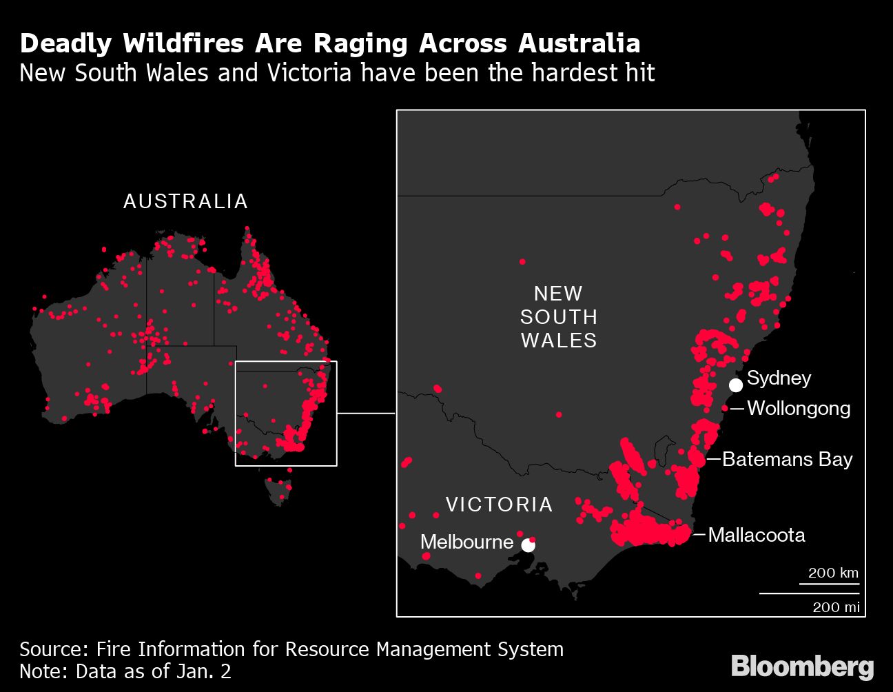 Australia’s wildfire crisis: key numbers behind the disaster - Moneyweb