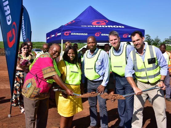 Grindrod to invest R175m in AutoPort in KwaZulu-Natal - Moneyweb