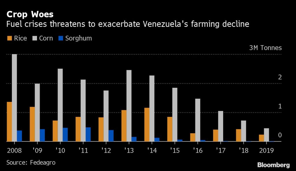 A fifth of food output is wasted in famine-threatened Venezuela - Moneyweb