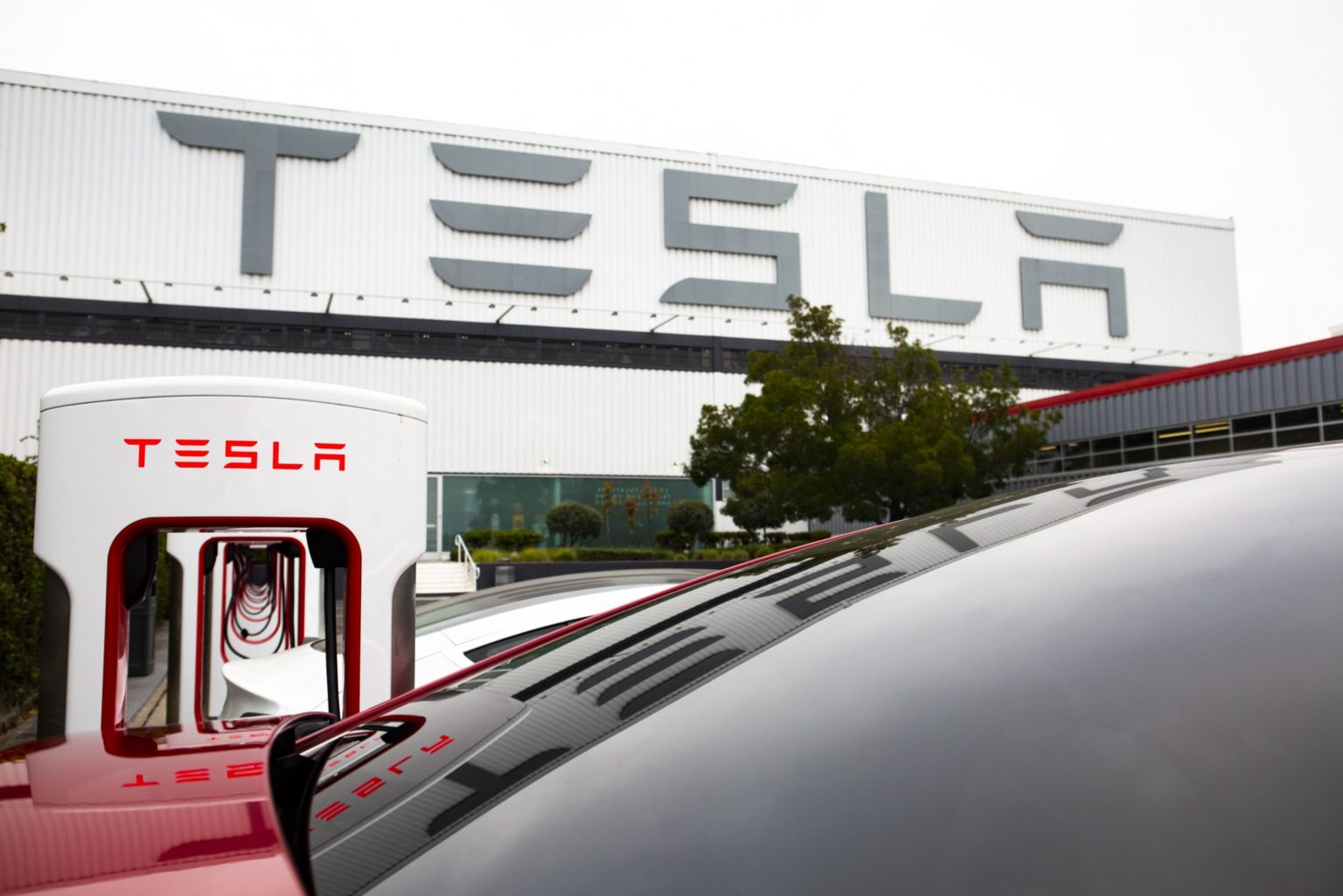 Tesla report shows minorities make up 60% of US workforce - Moneyweb