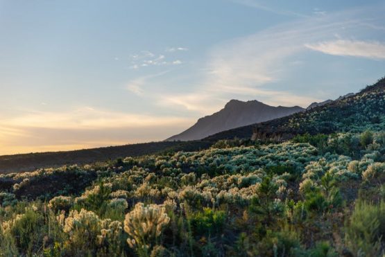 Cape Town’s climate strategy isn’t perfect - Moneyweb