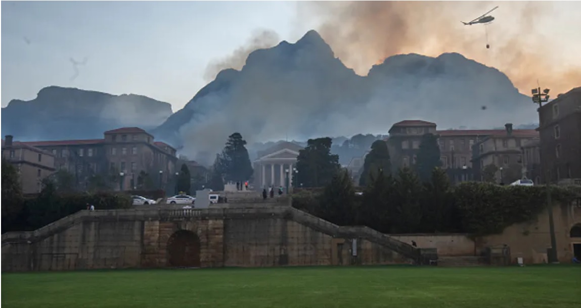 Why the fire on Table Mountain was particularly devastating - Moneyweb