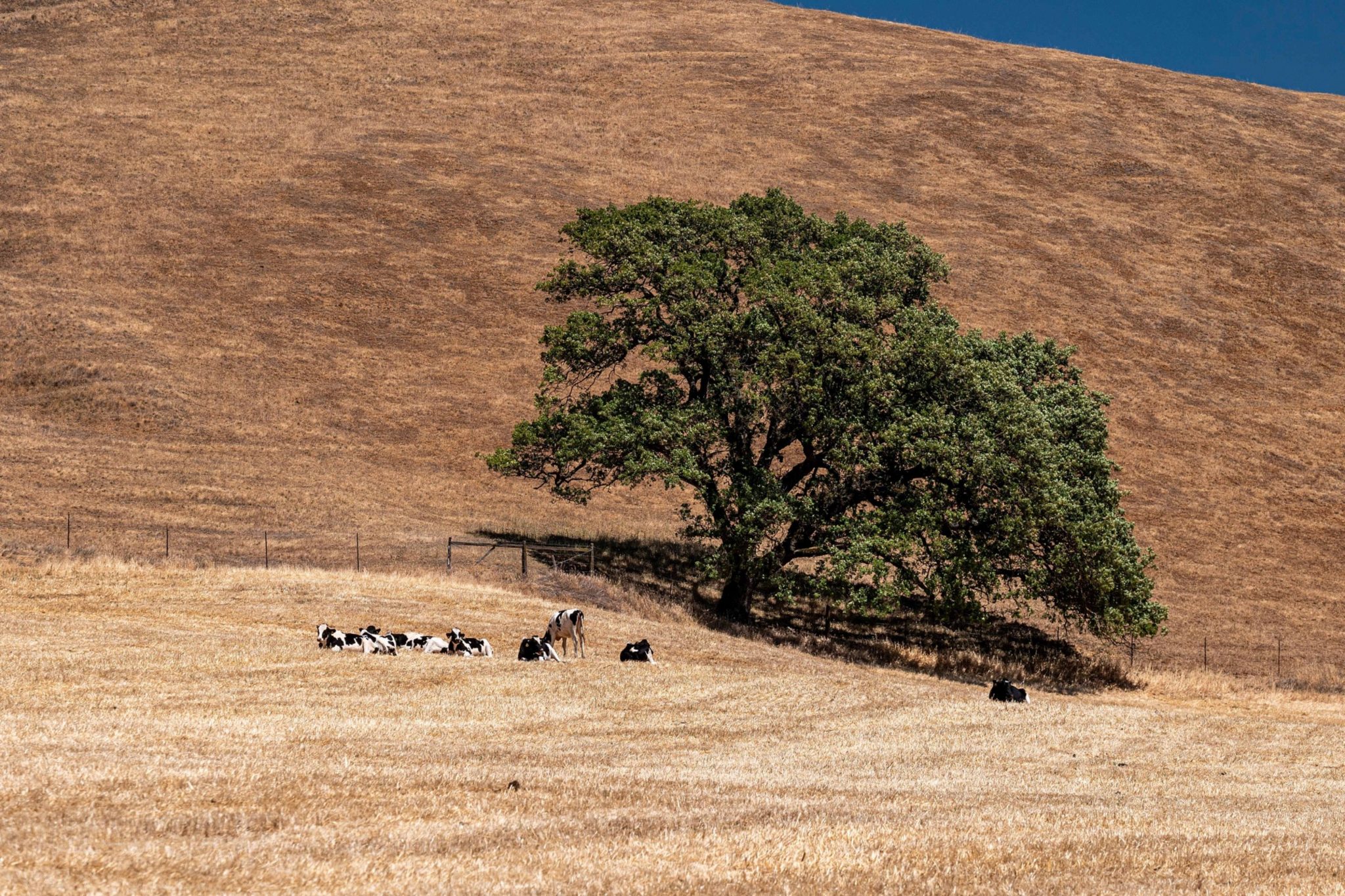 Worst drought in decades escalates threats across US west - Moneyweb