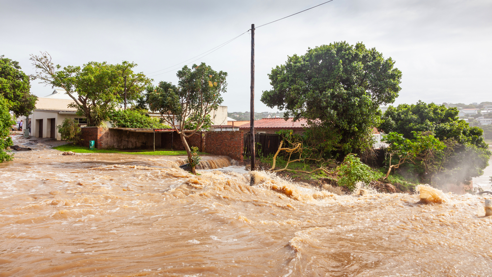 South Africa declares national disaster after rain, flood damage - Moneyweb