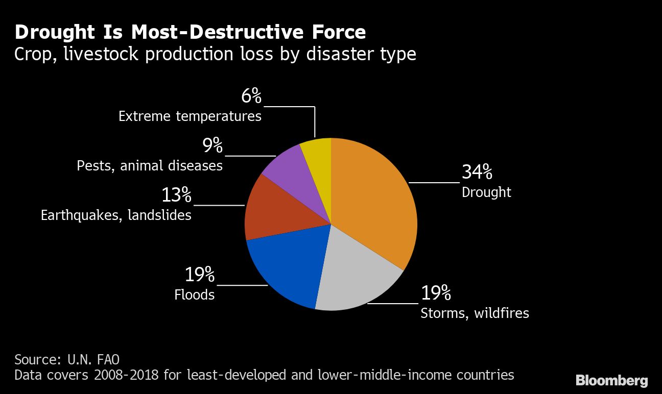 Farmers take on ‘post-apocalyptic’ food crisis - Moneyweb