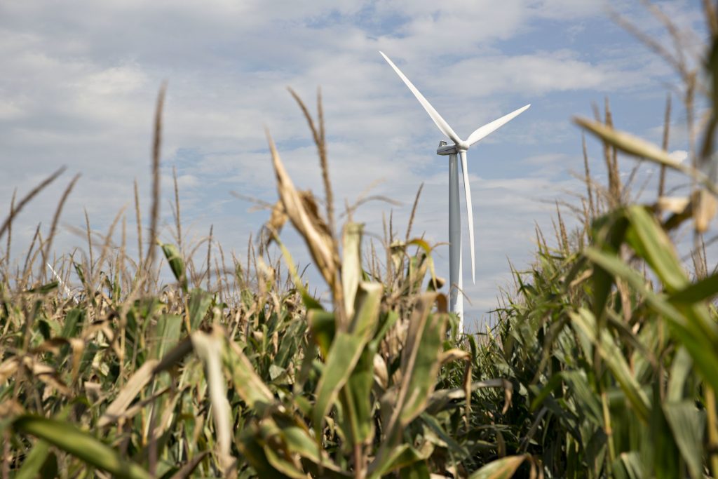 Buffett’s Berkshire pitches $3.9bn Iowa wind and solar project - Moneyweb