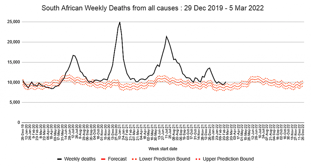 More proof of high Covid-related deaths - Moneyweb