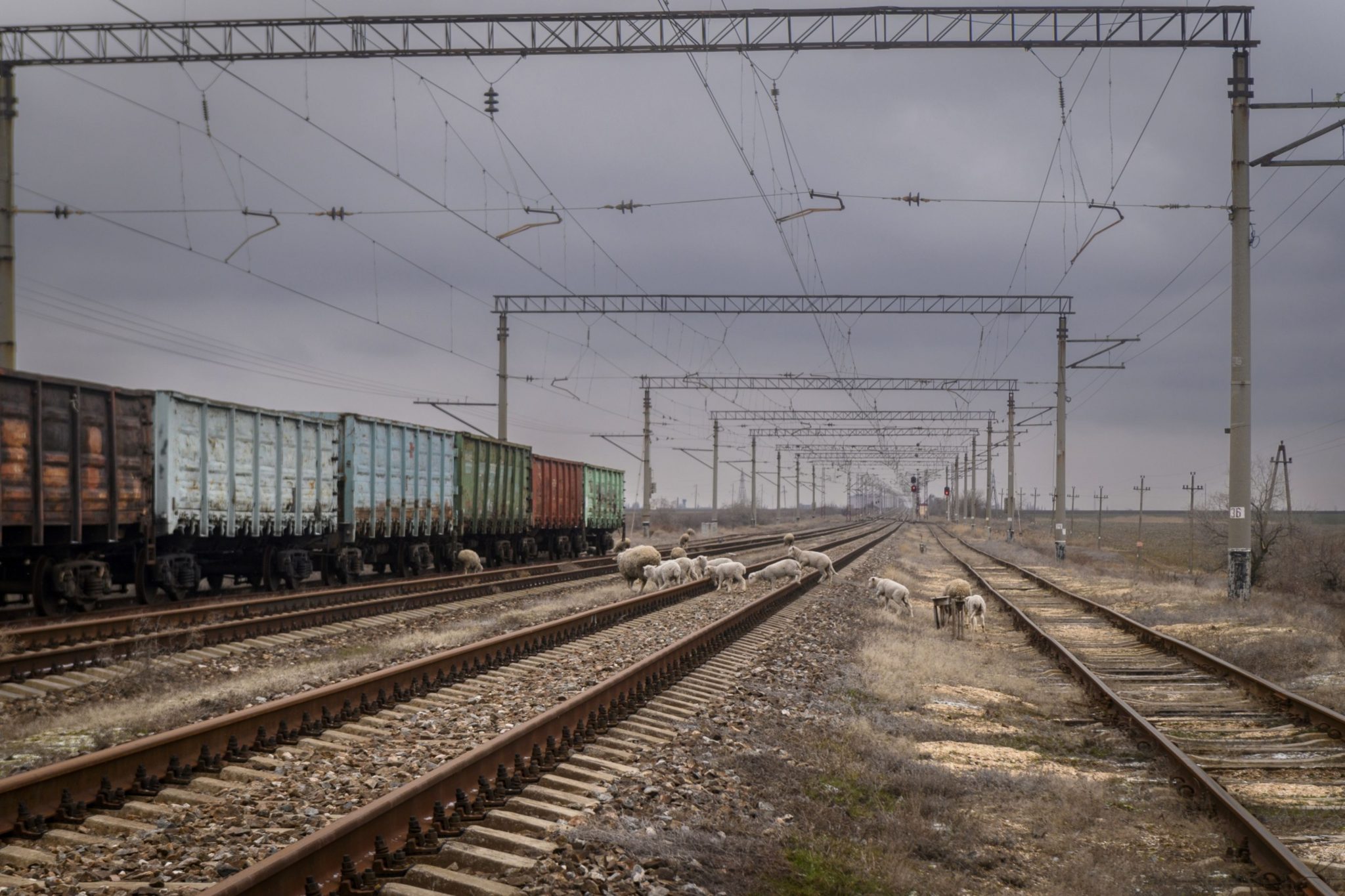 Pivotal reform in Transnet’s final Network Statement - Moneyweb
