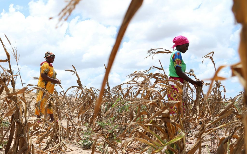 Worst drought in 40 years threatens millions in horn of Africa - Moneyweb
