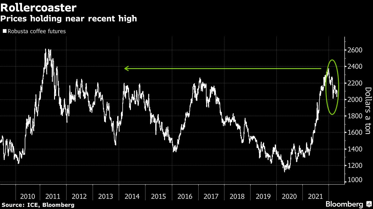 Avocados and durians help coffee farmers cope with surging costs - Moneyweb