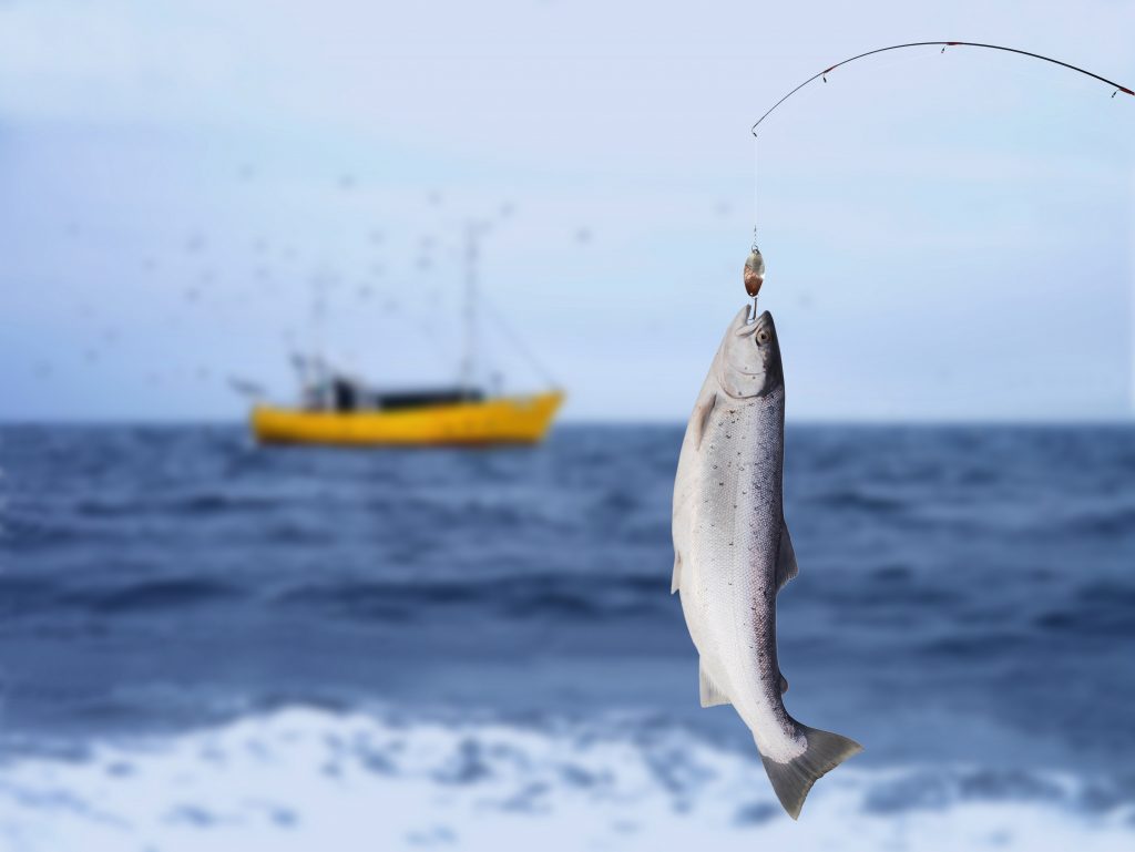Managing fish stocks shared by nations must focus on the impacts of ...