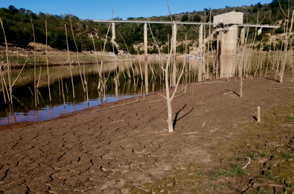 Nelson Mandela Bay’s usable water down to 2.3% of dam capacity - Moneyweb