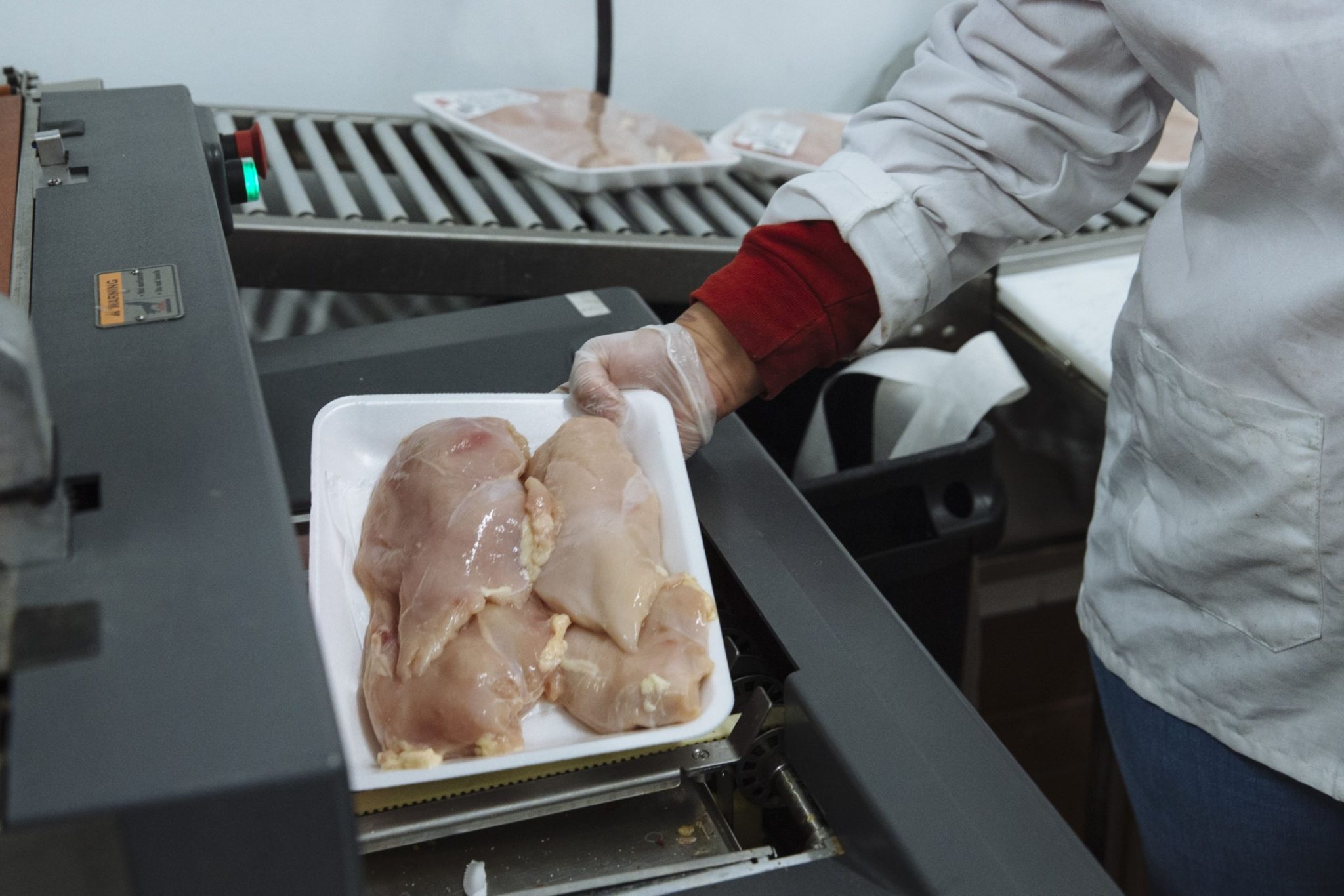 Increased dumping of chicken expected, particularly from Brazil - Moneyweb
