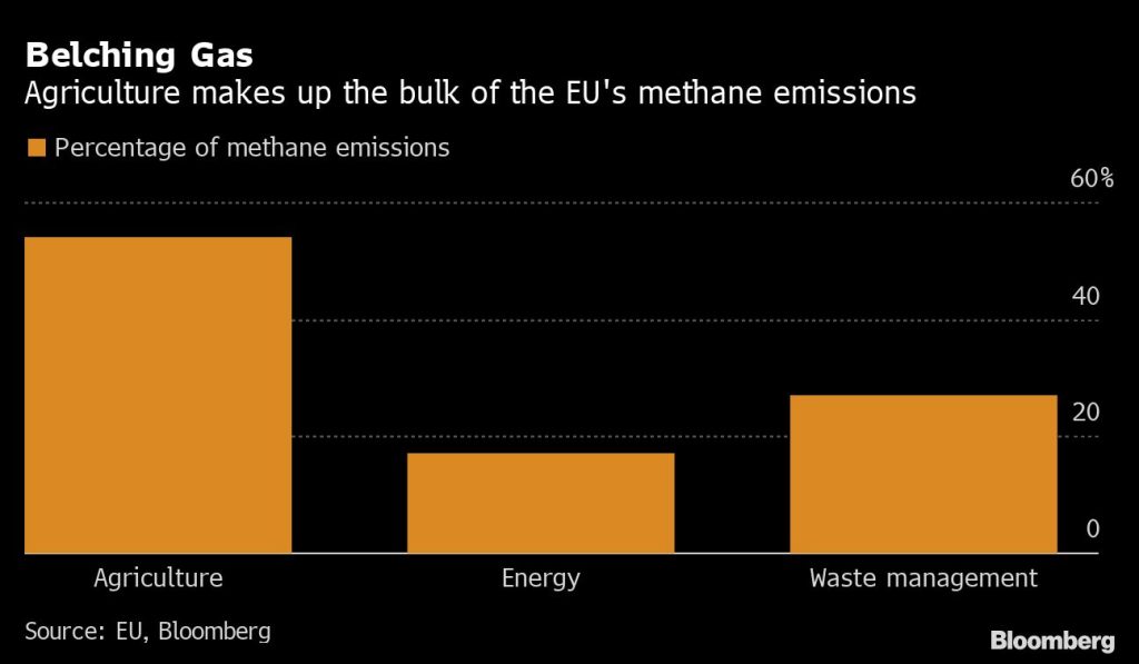 EU is falling short of its methane-reduction pledge - Moneyweb