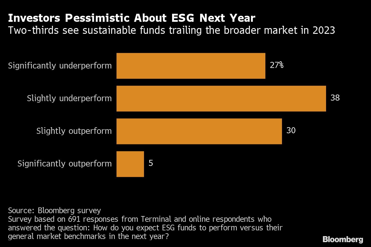 ESG funds seen underperforming broader market in 2023: Survey - Moneyweb