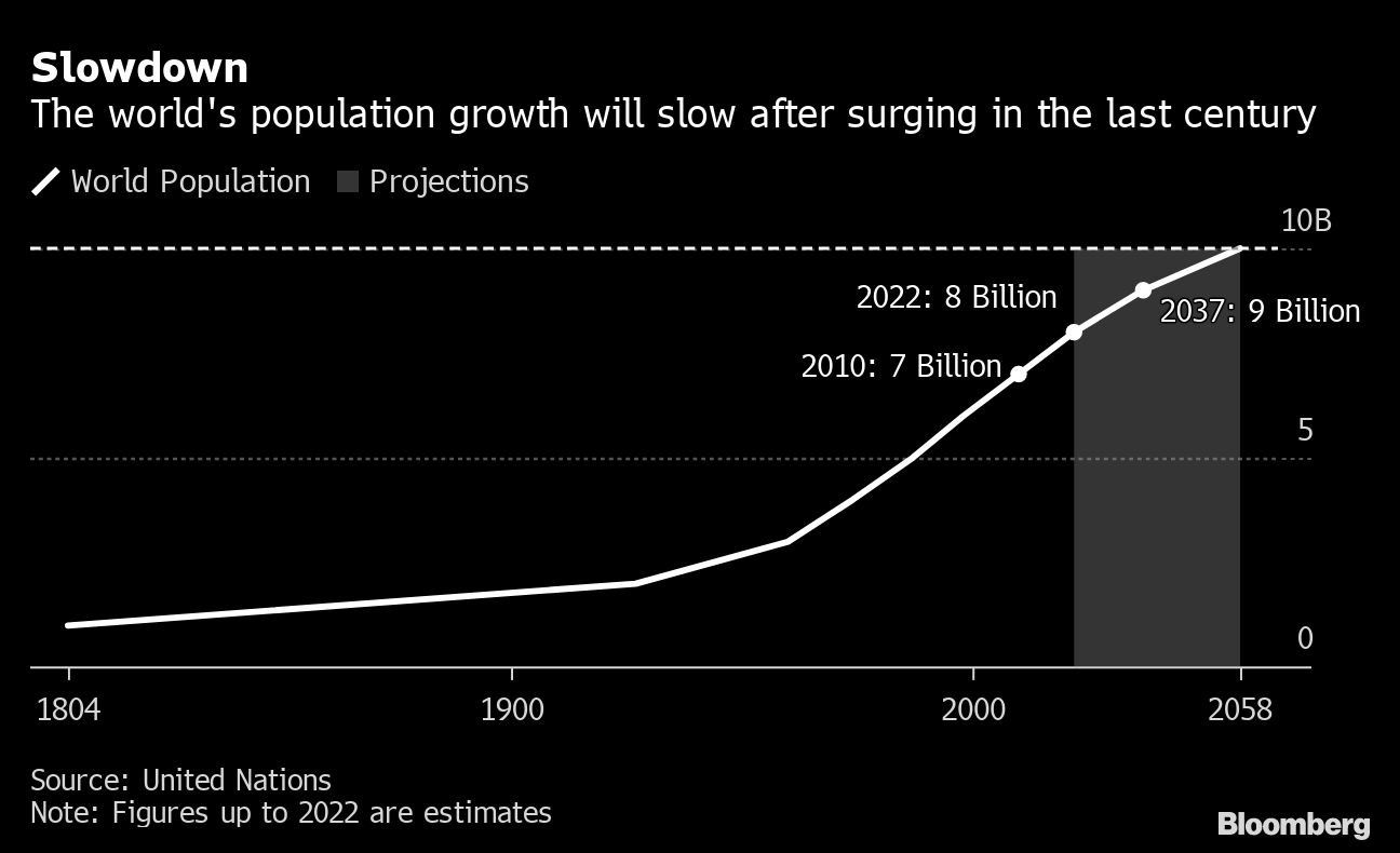 How the world is changing after its population hit 8bn - Moneyweb