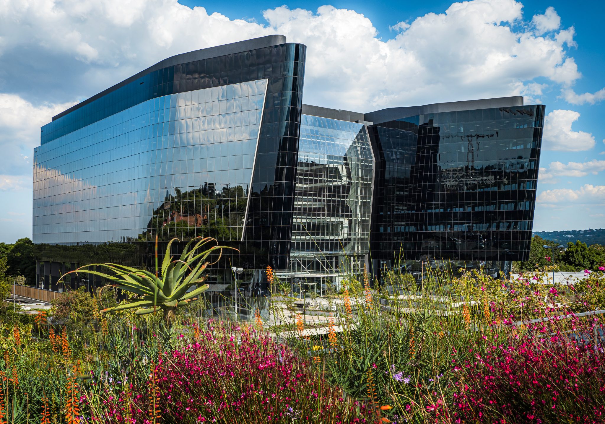 IFC invests R1bn in Growthpoint’s green bond - Moneyweb