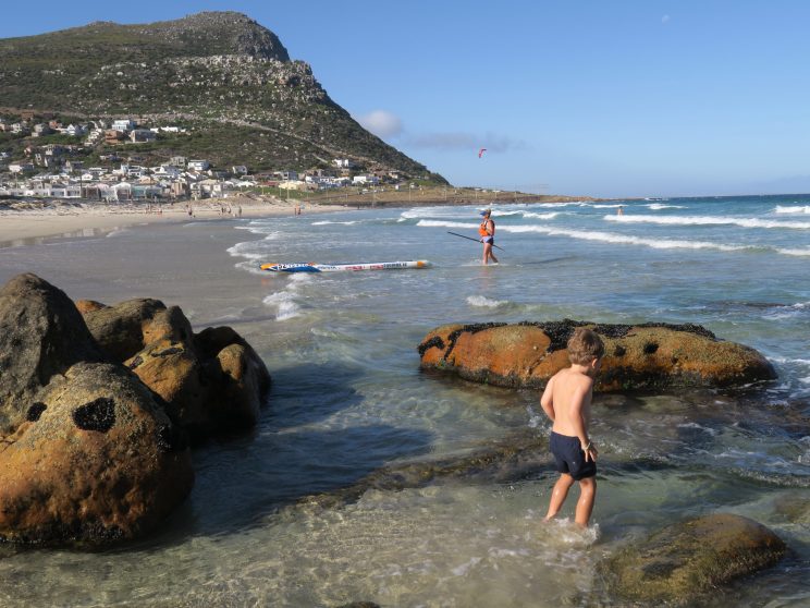 What latest tests say about beach water quality in Cape Town and Durban ...