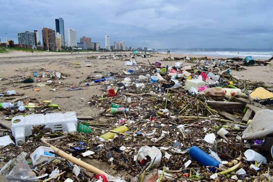 Call for government to save Durban’s contaminated rivers - Moneyweb