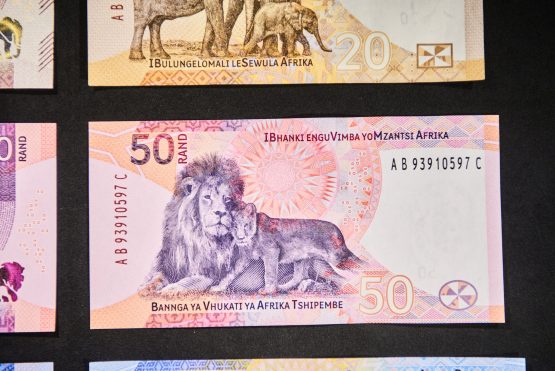 SA upgrades banknotes to thwart counterfeiting - Moneyweb