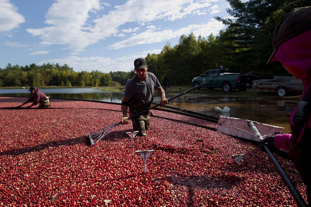 US jobless claims rise to 242 000, biggest increase in six weeks - Moneyweb