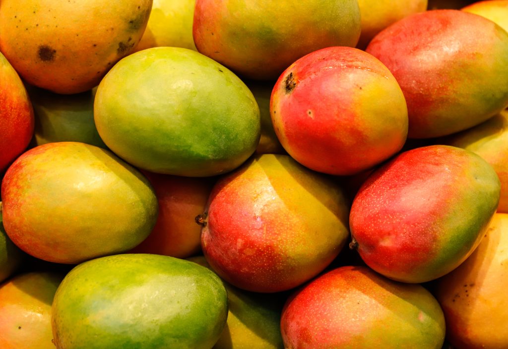 How a Japanese farmer produces mangoes that sell for $230 each - Moneyweb