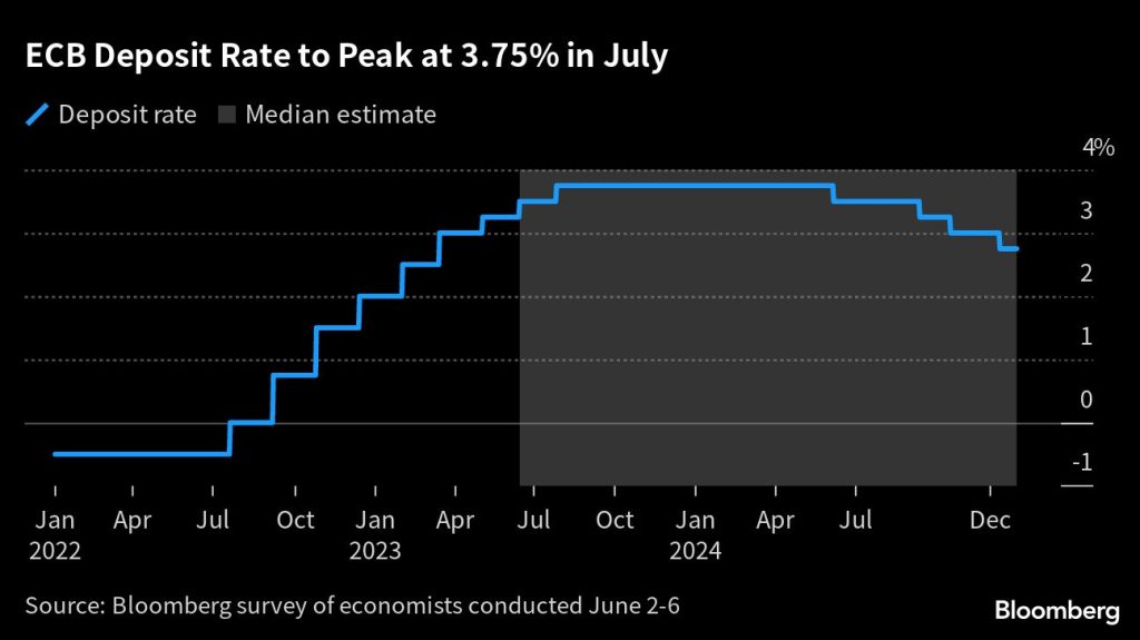 ECB enters home stretch of historic hiking cycle: Decision guide - Moneyweb