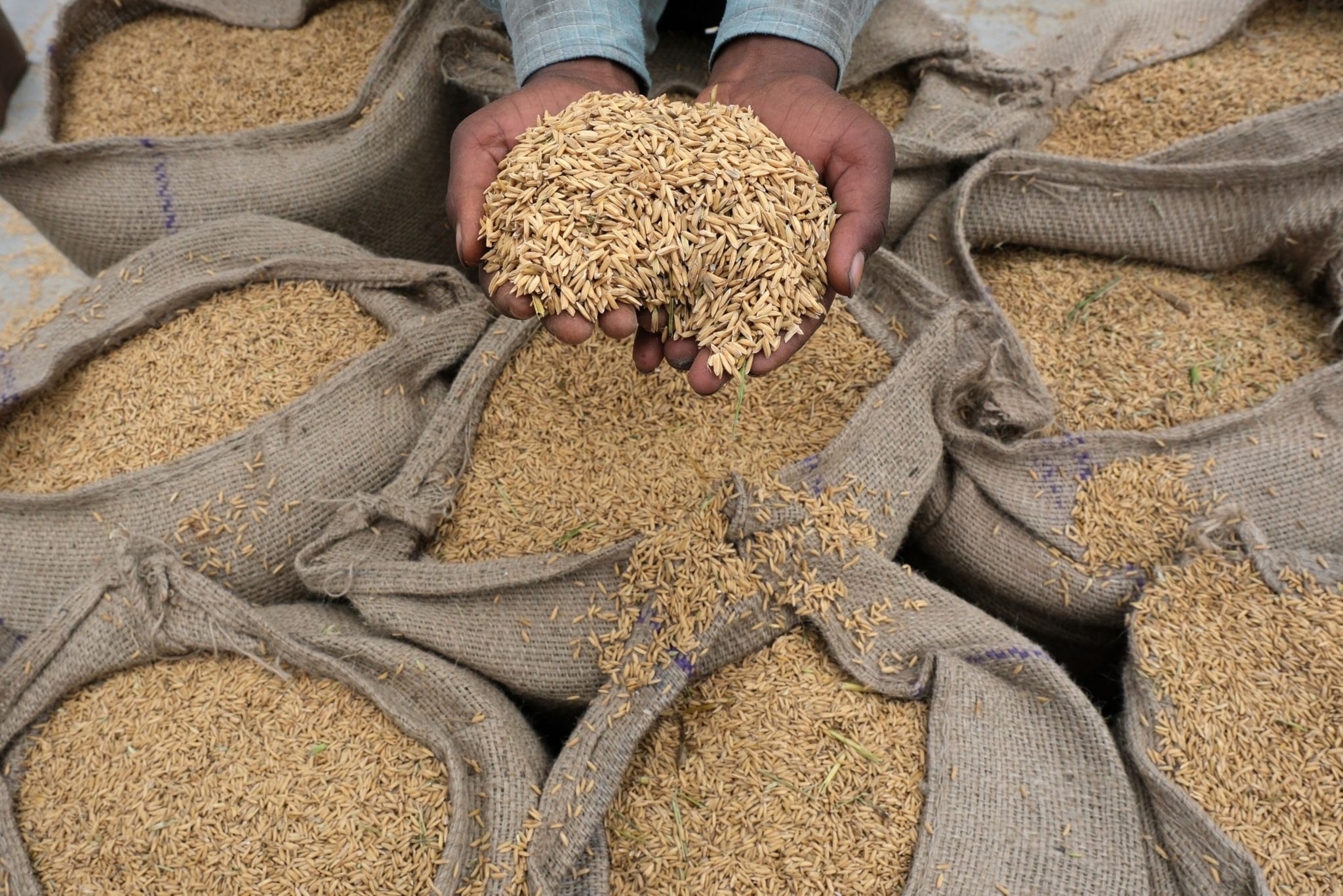 Heavy rains threaten China’s rice crop in latest weather worry - Moneyweb