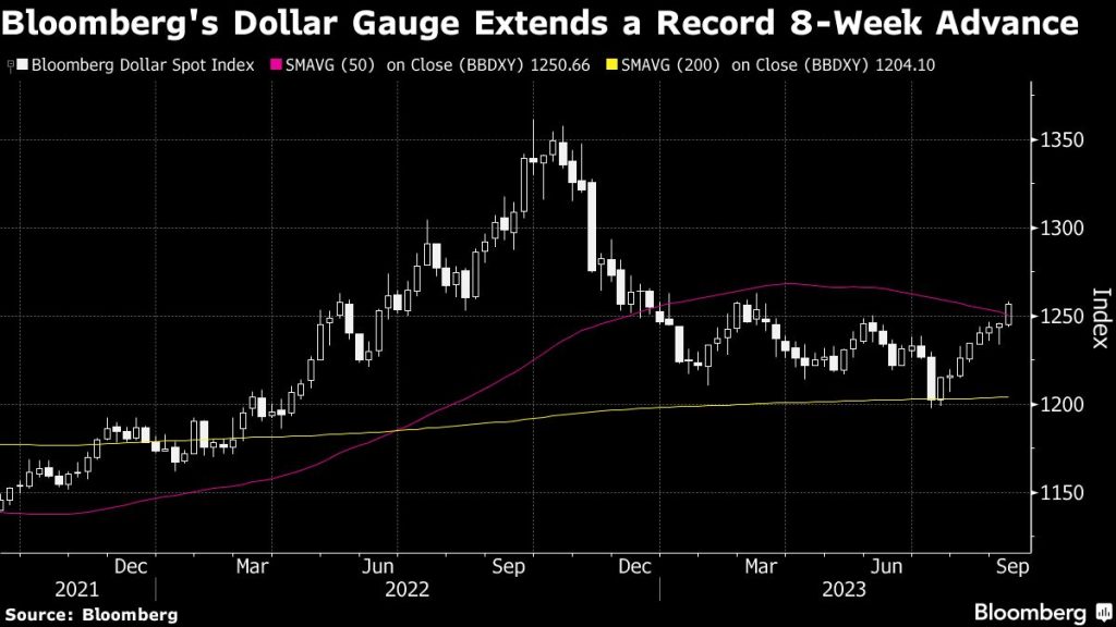 Dollar rally has HSBC flipping view, seeing gains through 2024 - Moneyweb