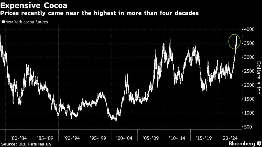 Chocolate could get even pricier if Africa’s cocoa crop flops - Moneyweb