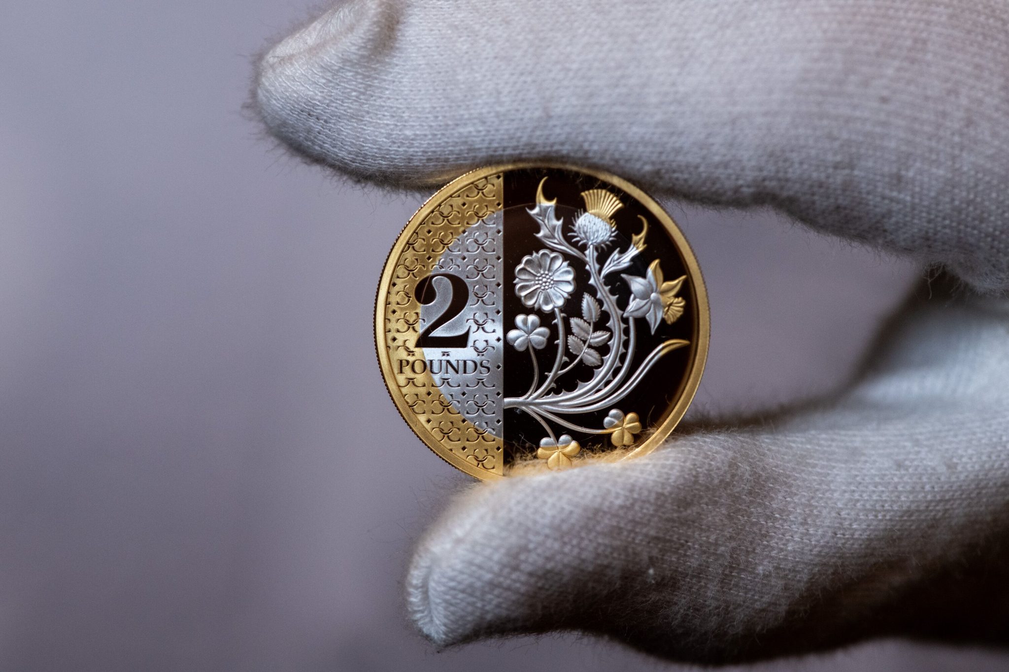 King Charles III’s newest coins celebrate UK’s flora and fauna - Moneyweb