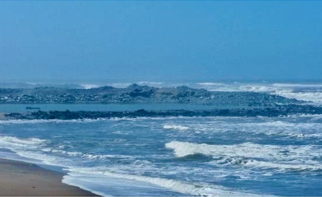 Alexkor vs Creecy in environment court battle - Moneyweb