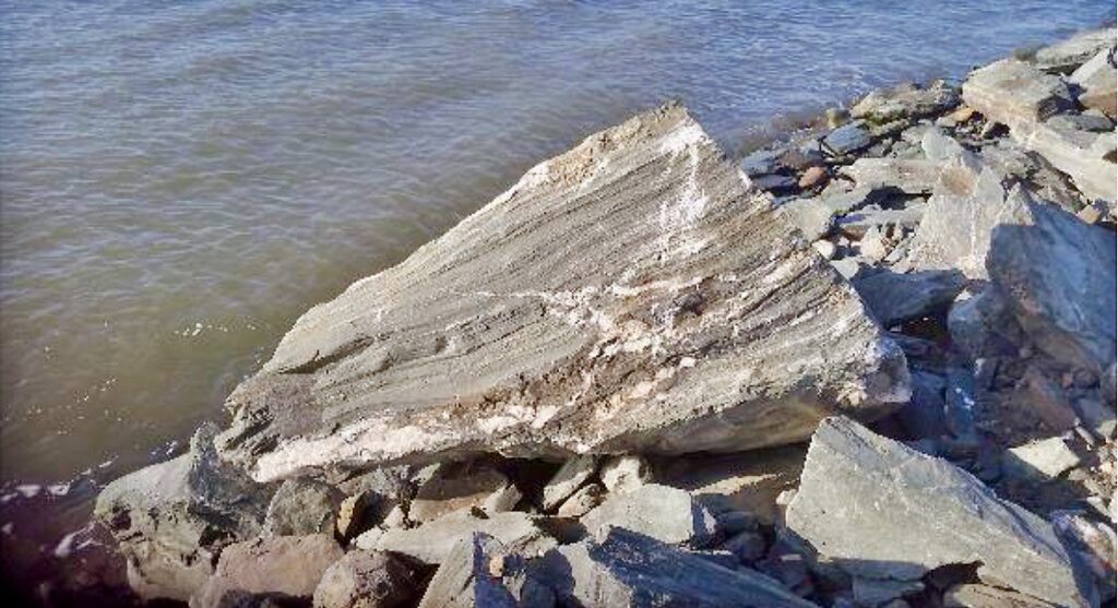 Alexkor vs Creecy in environment court battle - Moneyweb