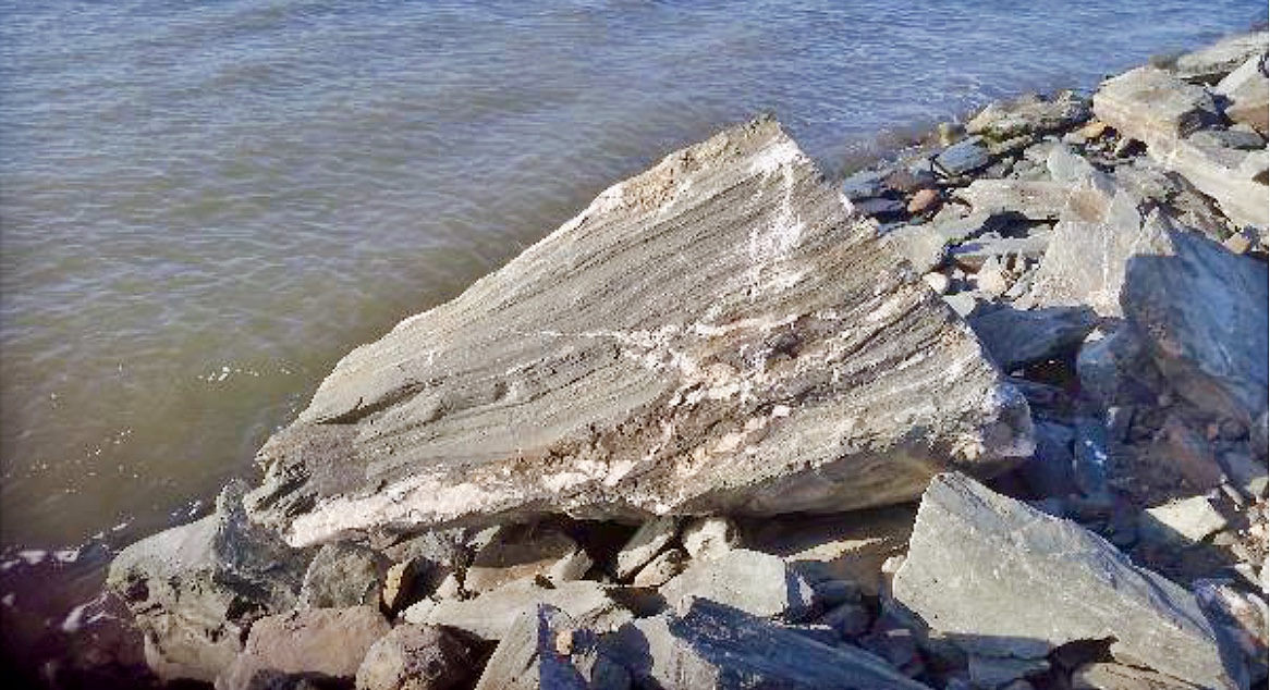 Alexkor vs Creecy in environment court battle - Moneyweb