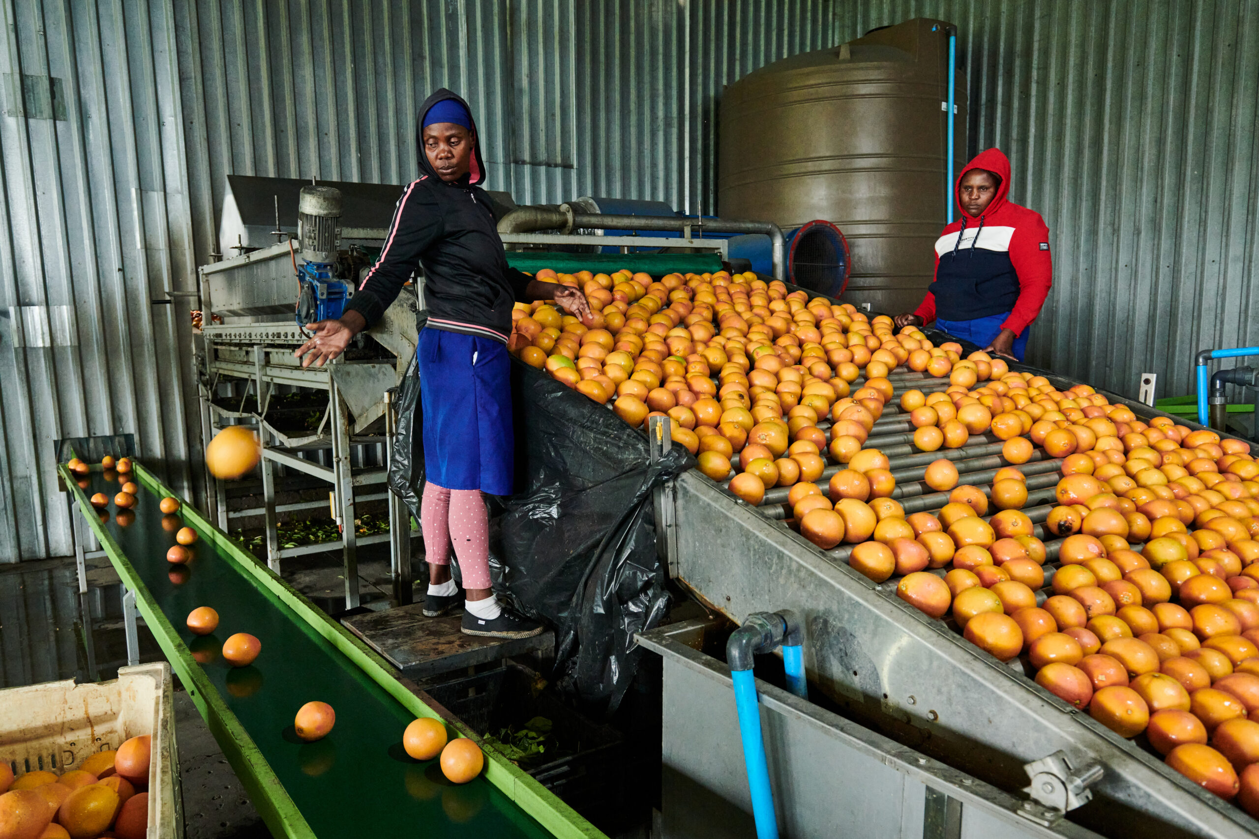 A rare South African export success is threatened by crumbling ports ...