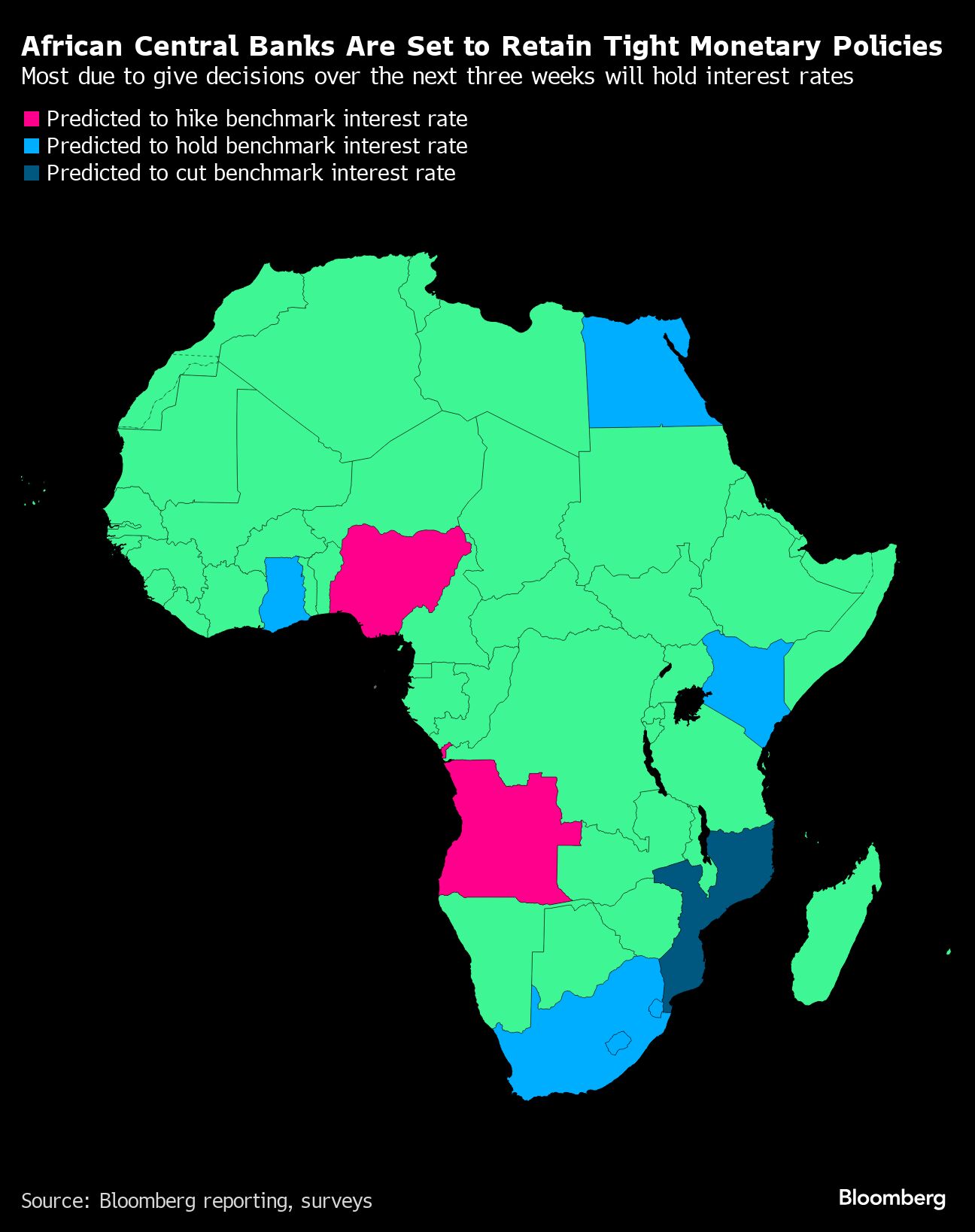 African economies seen delaying joining cycle of global easing - Moneyweb