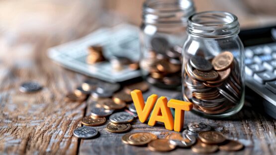 #Budget2025 in a nutshell – Godongwana tables 0.5 percentage point Vat ...