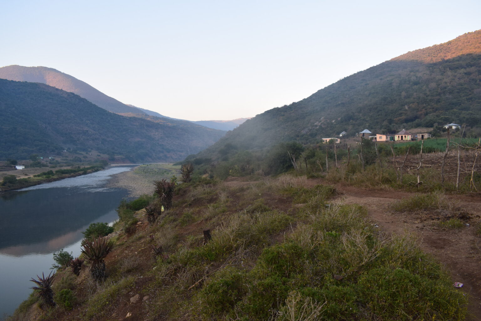 Mpondoland dagga growers left out to dry - Moneyweb