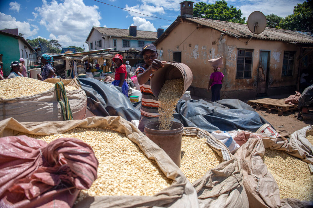 Zimbabwe sees economic growth rate more than doubling in 2025 - Moneyweb