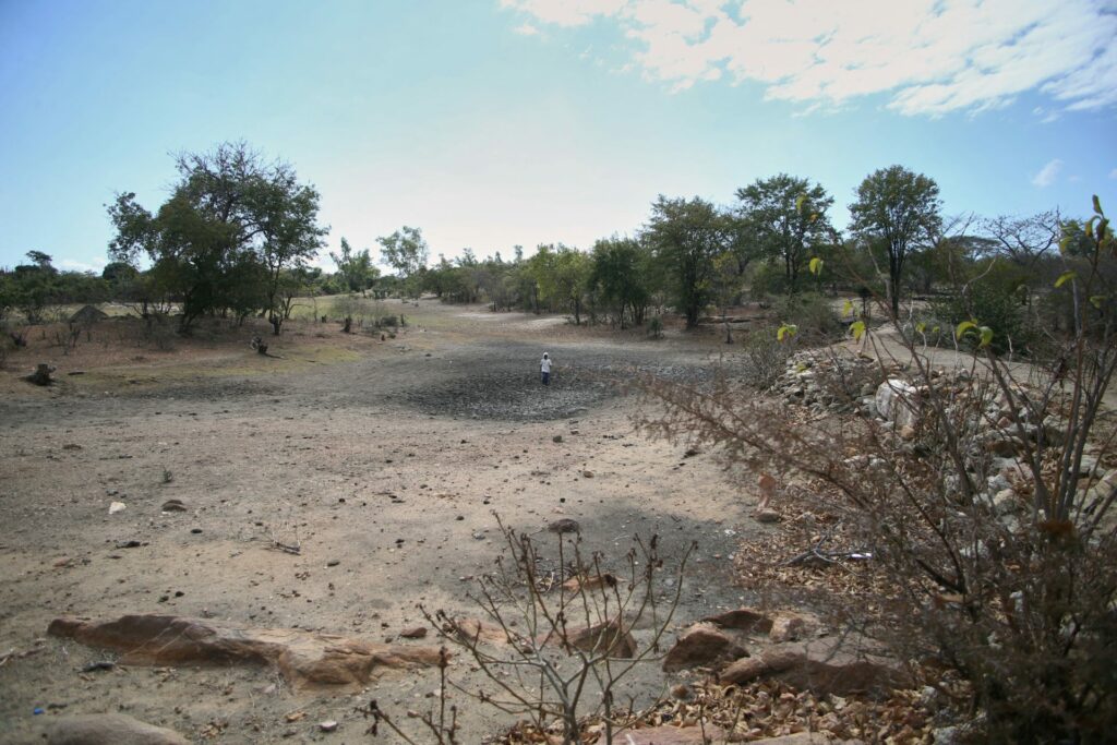 Drought is devastating southern Africa’s crops - Moneyweb