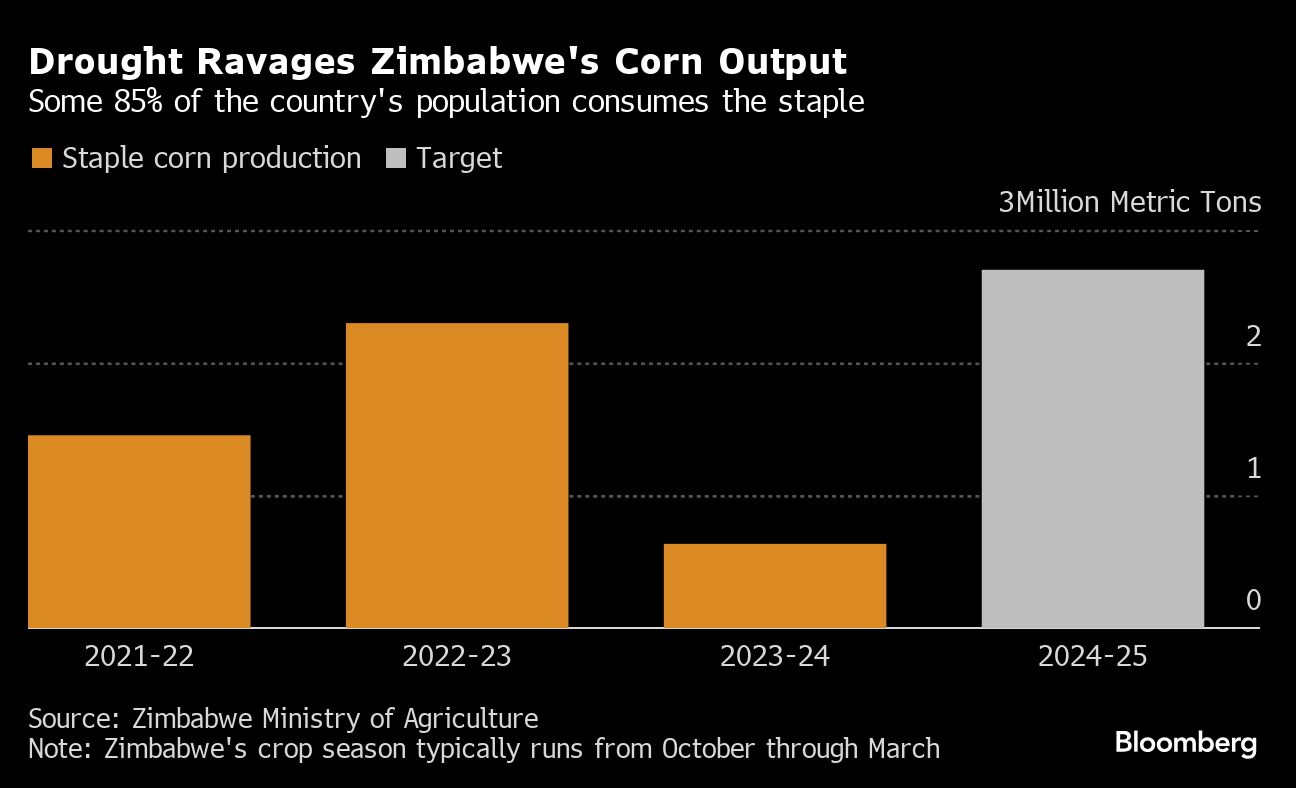 Zimbabwe needs $1.6bn to lift crop output after drought - Moneyweb