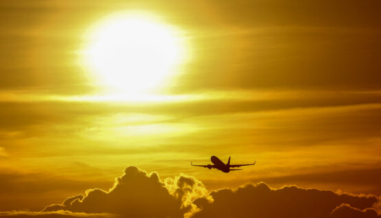 International airlines are not bound by SA’s race-based licensing, says ...