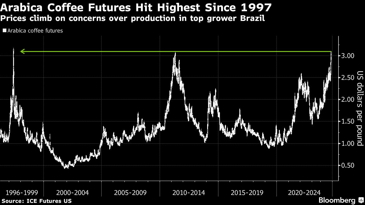 Coffee prices surge to highest since 1997 on supply fears - Moneyweb