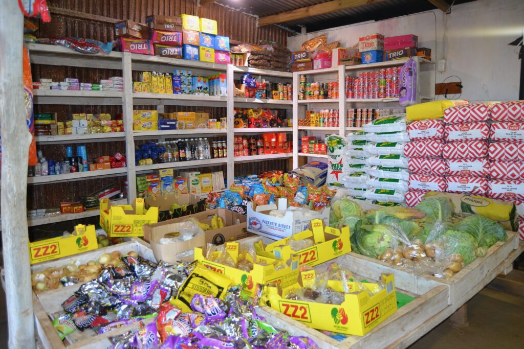 Nelson Mandela Bay mayor targets immigrant-owned spaza shops - Moneyweb