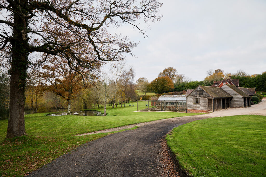 From capital to UK cattle markets - Moneyweb