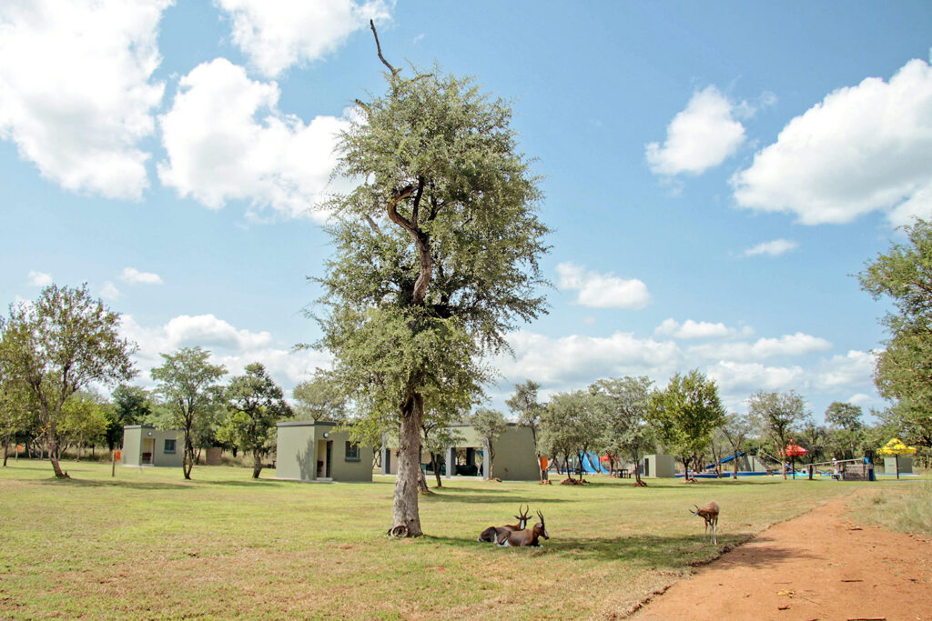 Everest Wealth, Part 2: How risky are its investment offerings? - Moneyweb