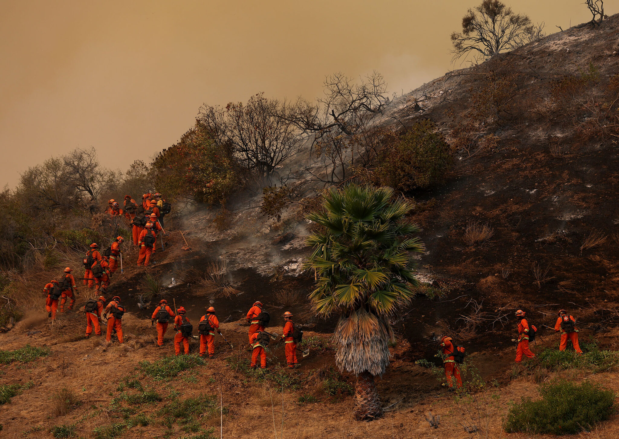 LA disaster in pictures - Moneyweb