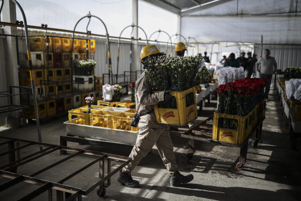 Dollar starts week on front foot on Trump’s Colombia tariffs - Moneyweb