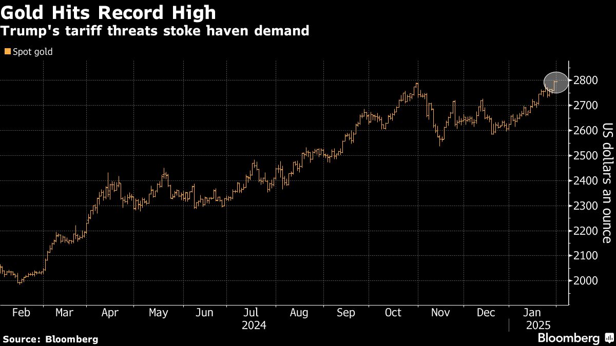 Gold hits record high as Trump tariff threats aid haven demand - Moneyweb