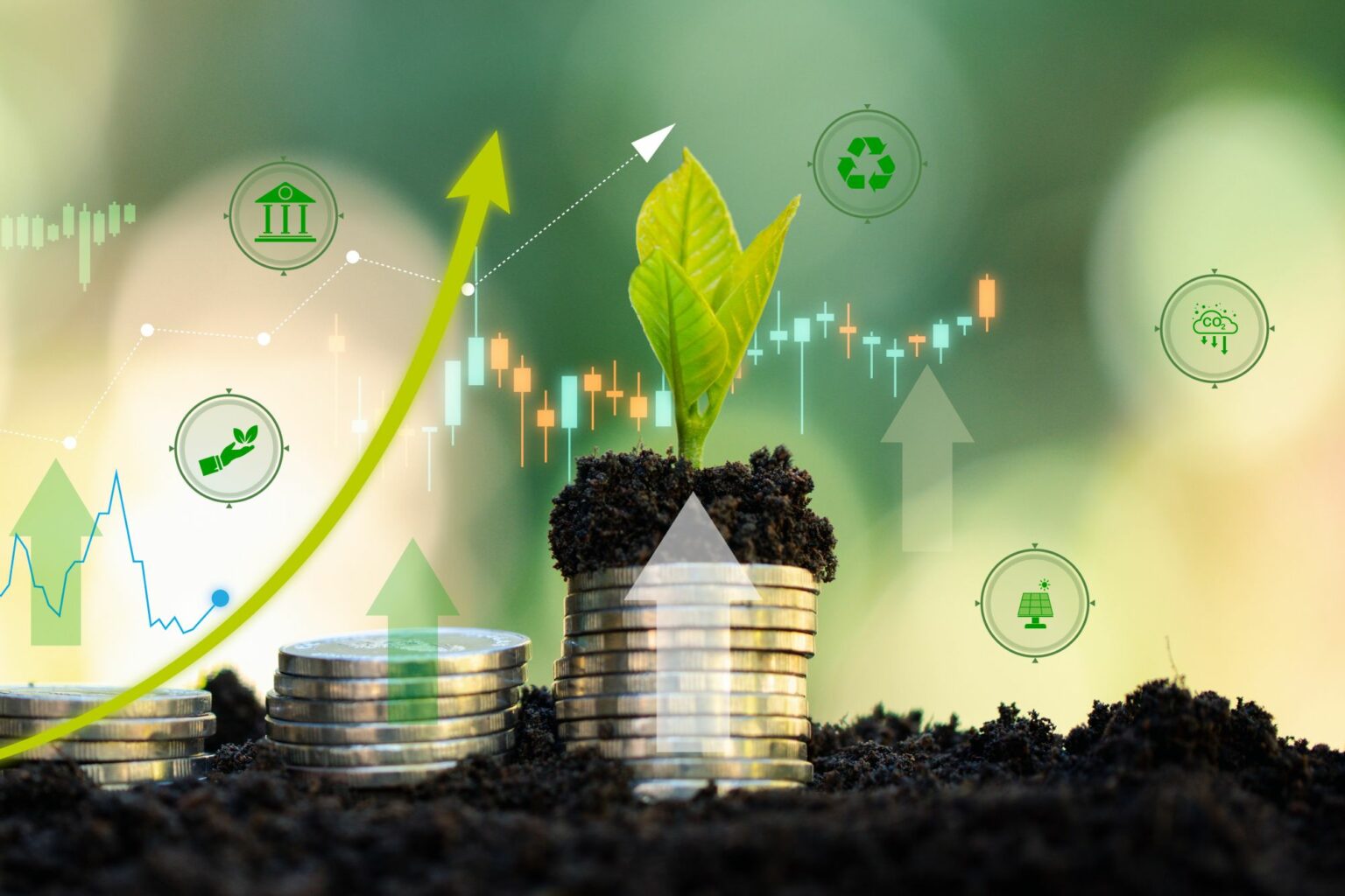 Peregrine Capital reports strongest fund performance year - Moneyweb